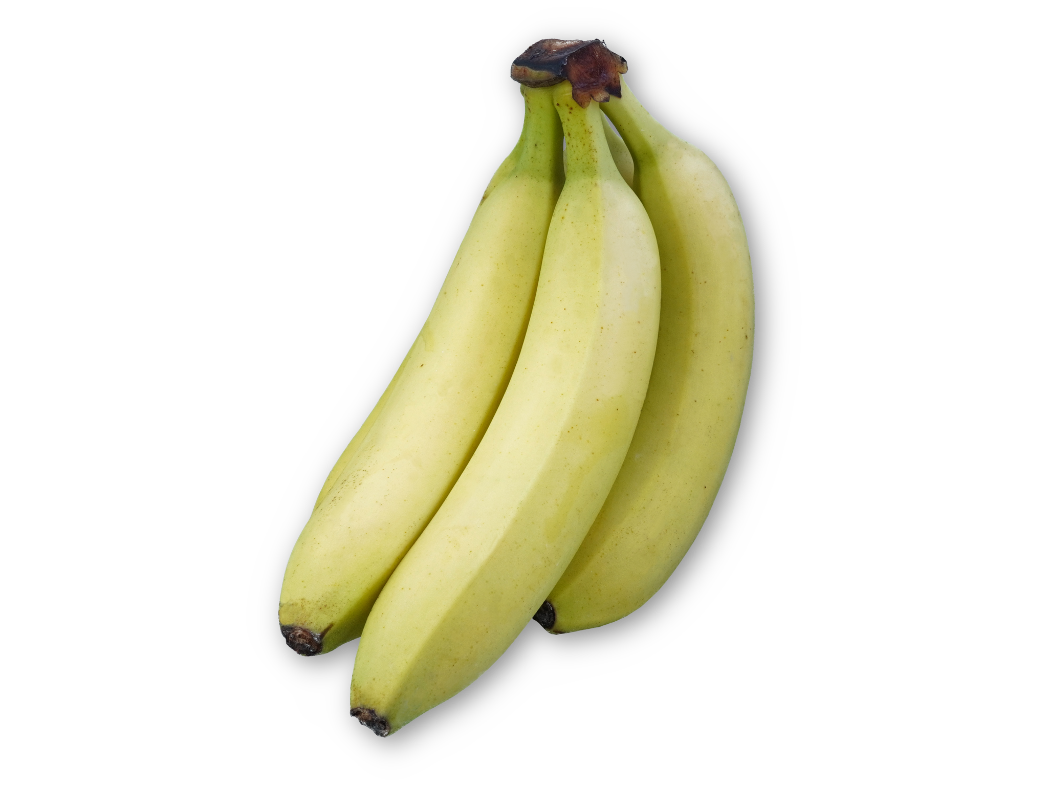 Bananen - Rezepte Suchen